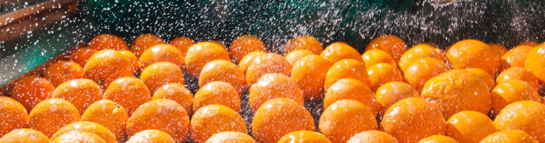 AMCI : Advanced Micro Controls Inc :: Stepper Motors